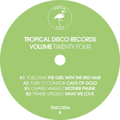 Various / Tropical Disco Volume 24 – Luv4Wax